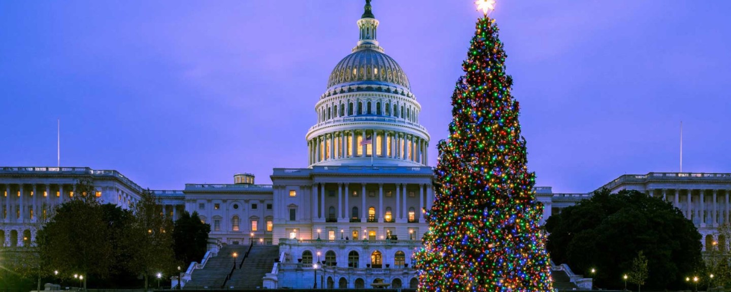 A Very Minority Christmas: Inside the Holiday Misery of Chuck Schumer ...